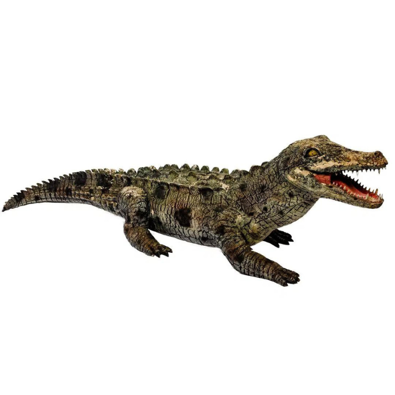Crocodile Prop Hire Melbourne | Feel Good Events
