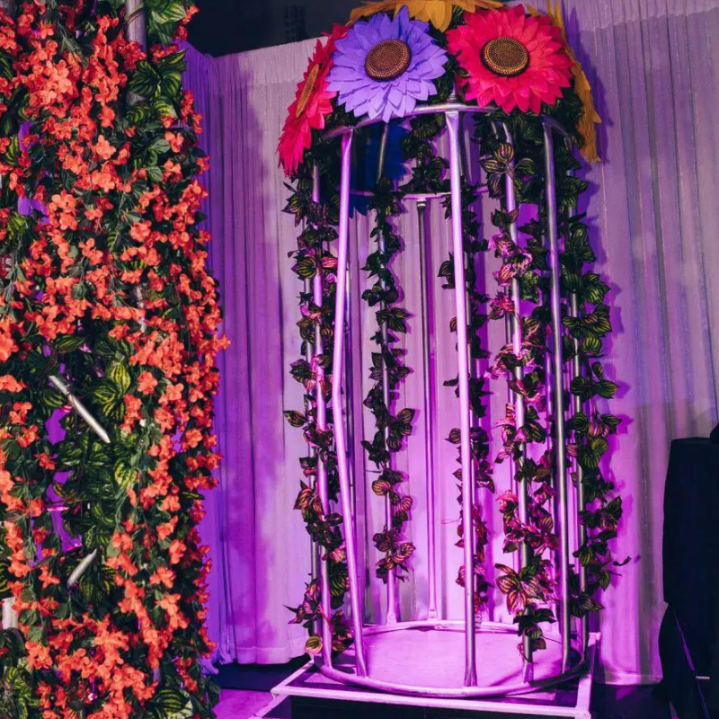 Dance Cage Hire Melbourne | Feel Good Events