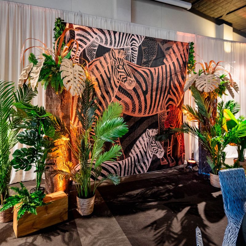 Standard Backdrop - Zebras