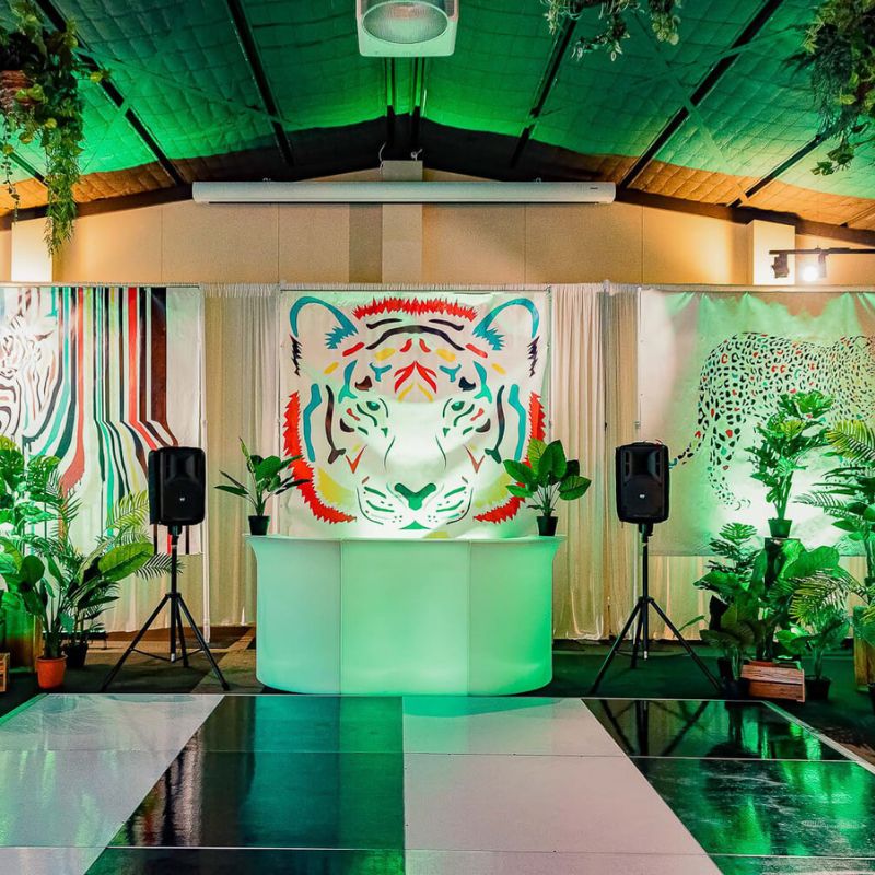Coloured Tiger Backdrop Hire Melbourne | Feel Good Events