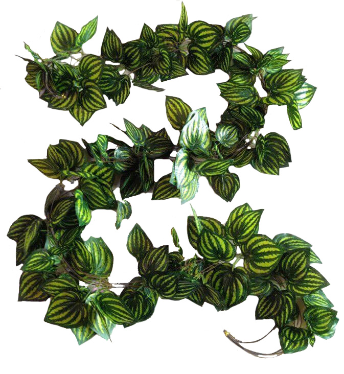 Vines Hire Melbourne | Feel Good Events