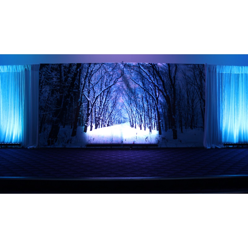 Winter Wonderland Backdrop Hire Melbourne | Feel Good Events